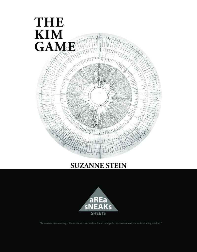 the kim game - suzanne stein